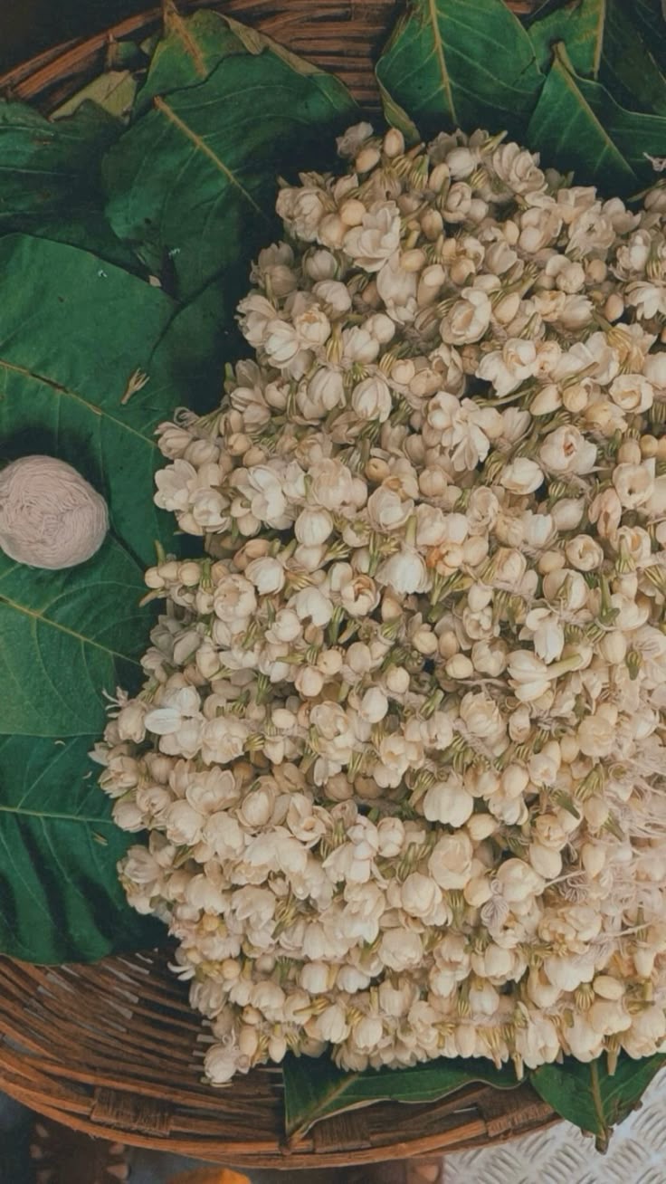 Gajra – Jasmine flowers strung together – Notes On The Go